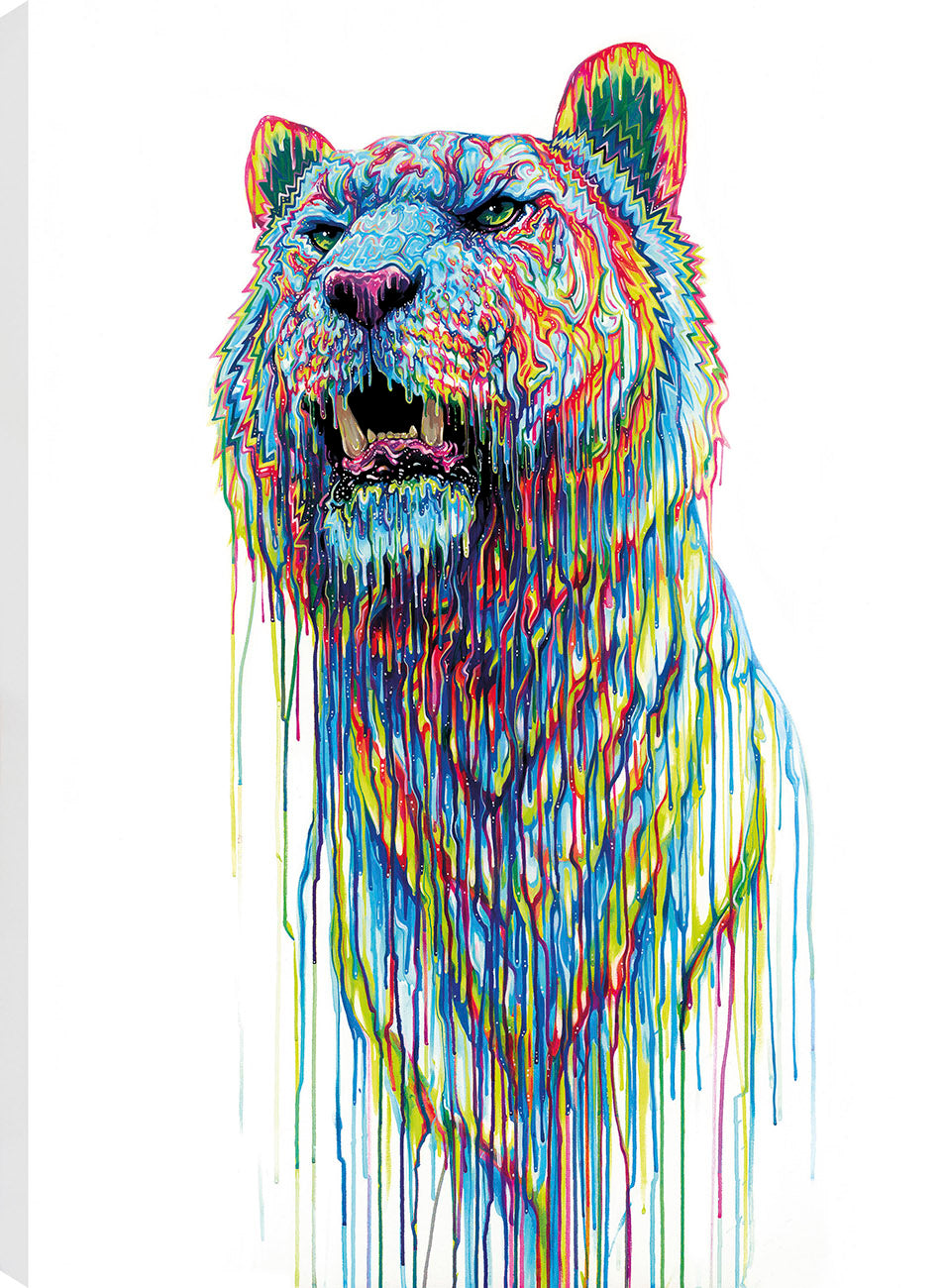 Robert Oxley | Hear Me Roar