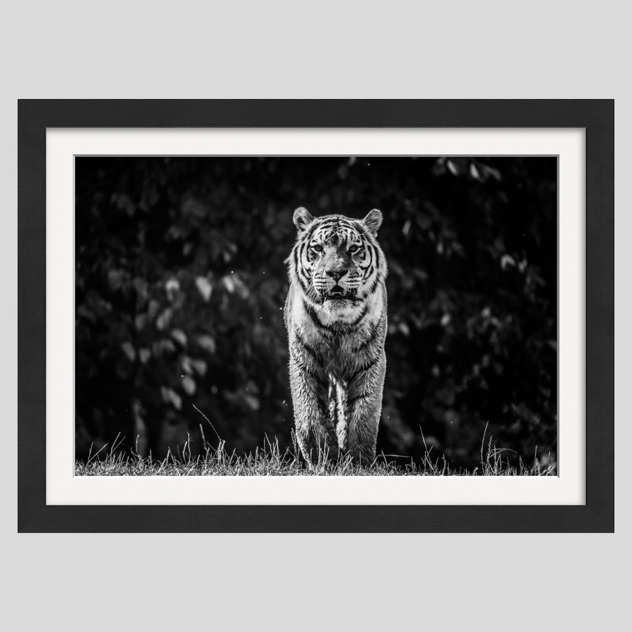 I Am Fearless | Alfie Bowen