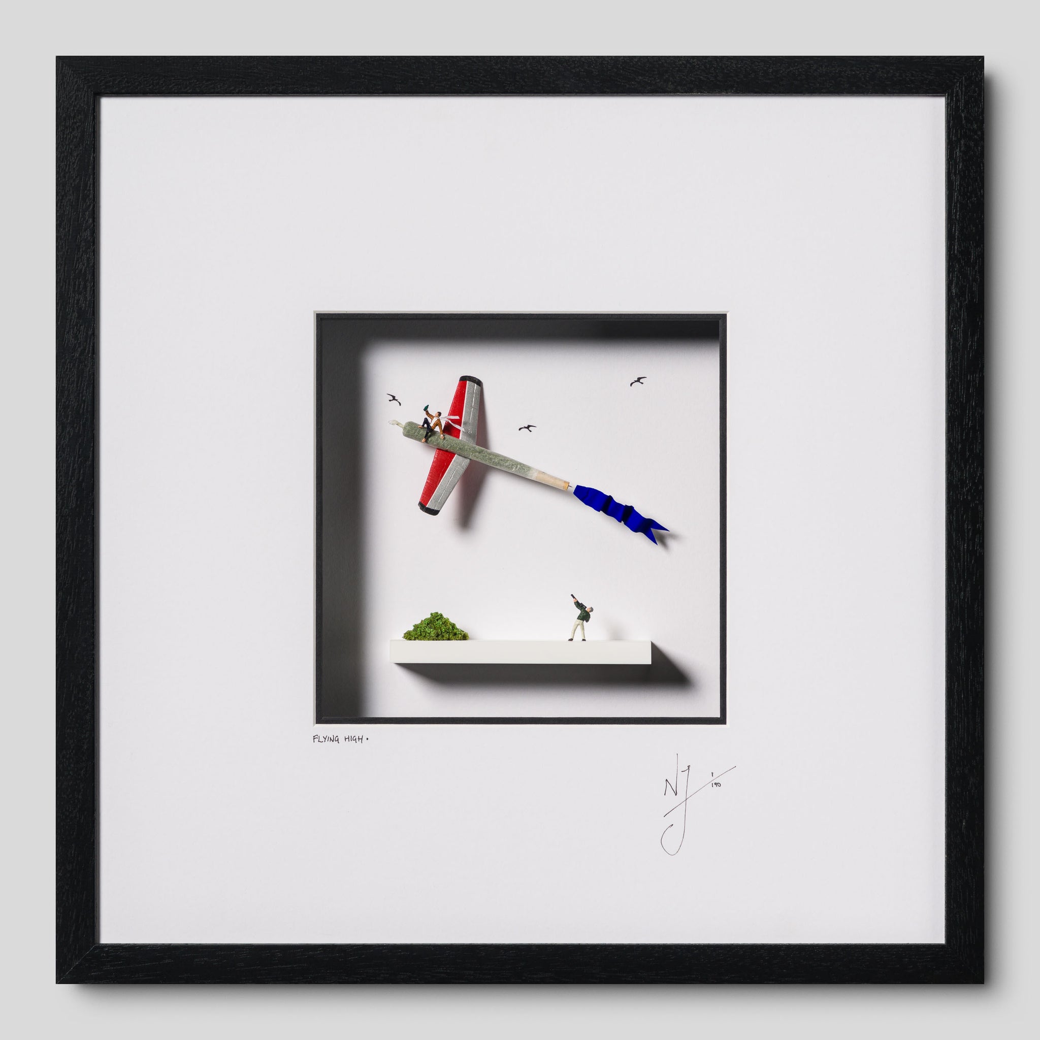 Flying High | Nic Joly