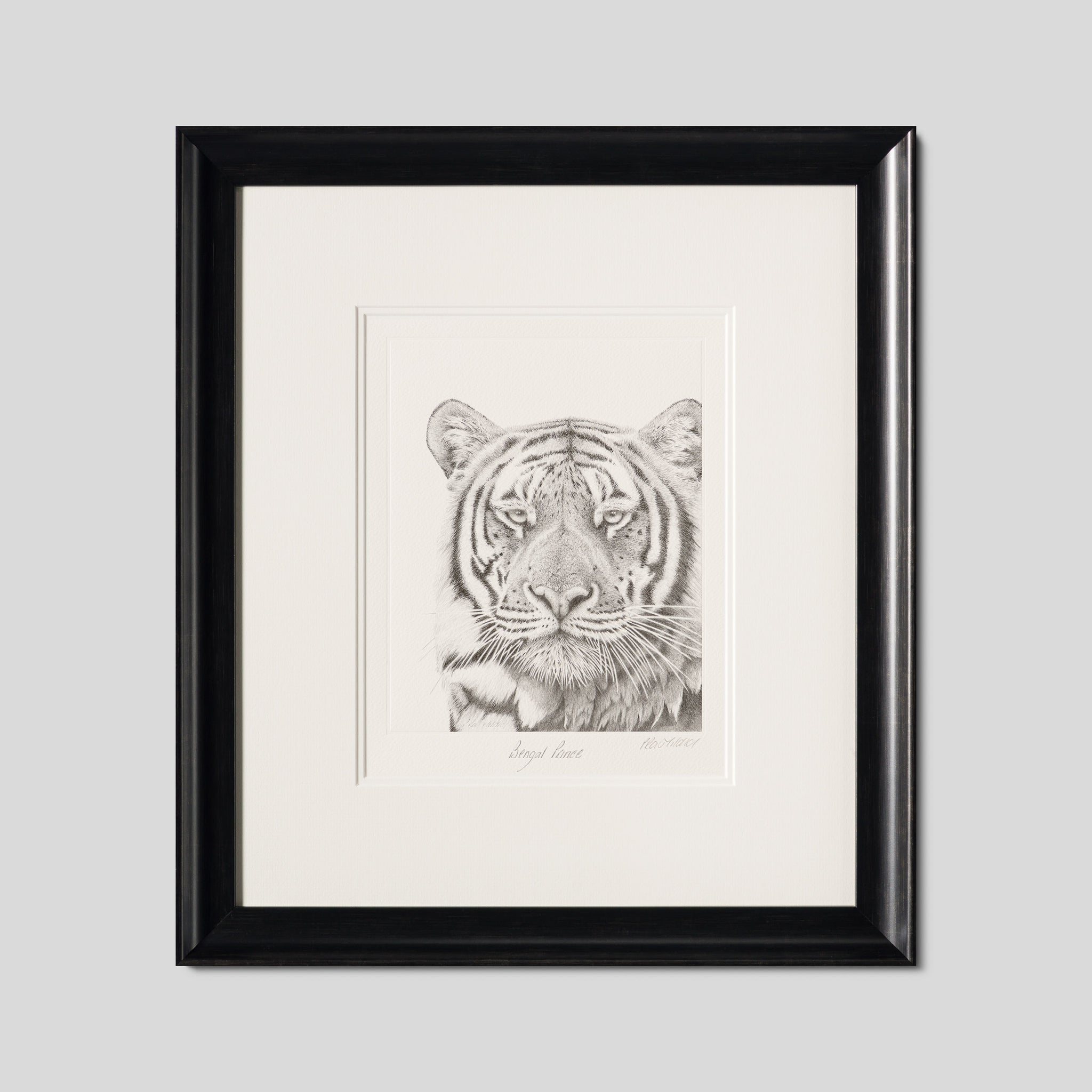 Bengal Prince | Peter Hildick