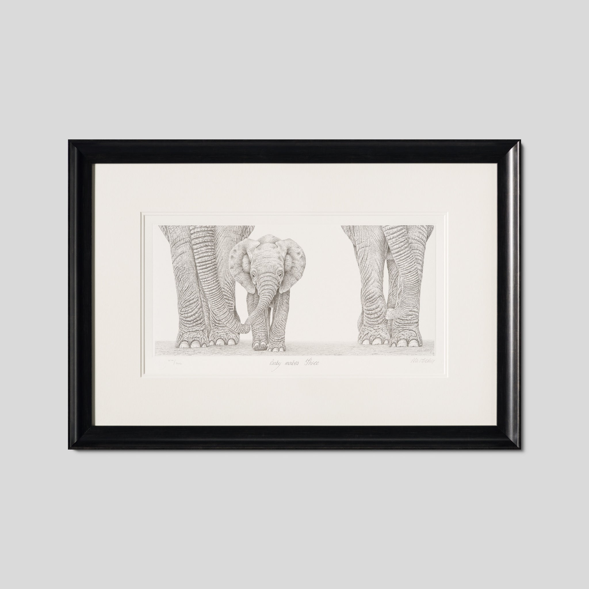 Baby Makes Three | Peter Hildick