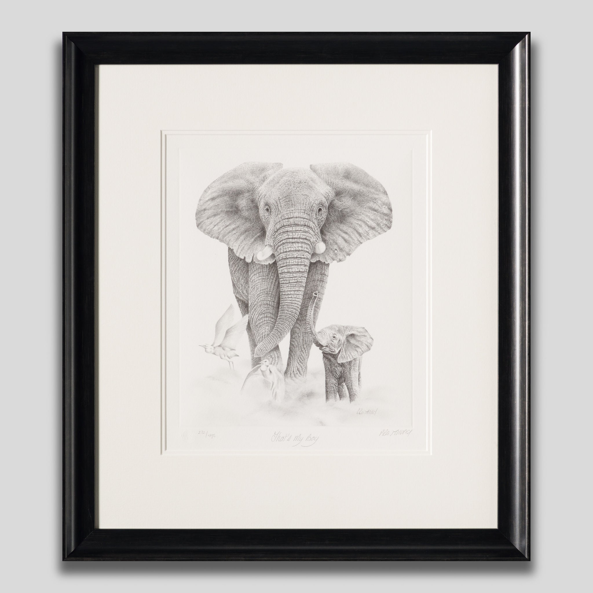 That’s My Boy | Peter Hildick