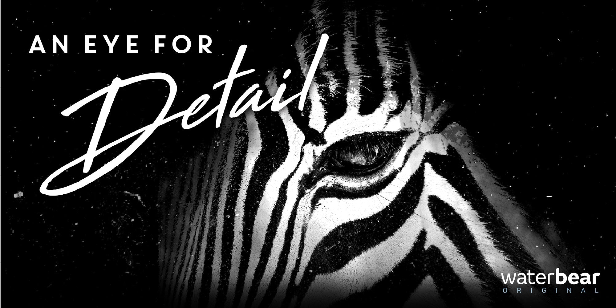 Watch Alfie Bowen's inspiring documentary