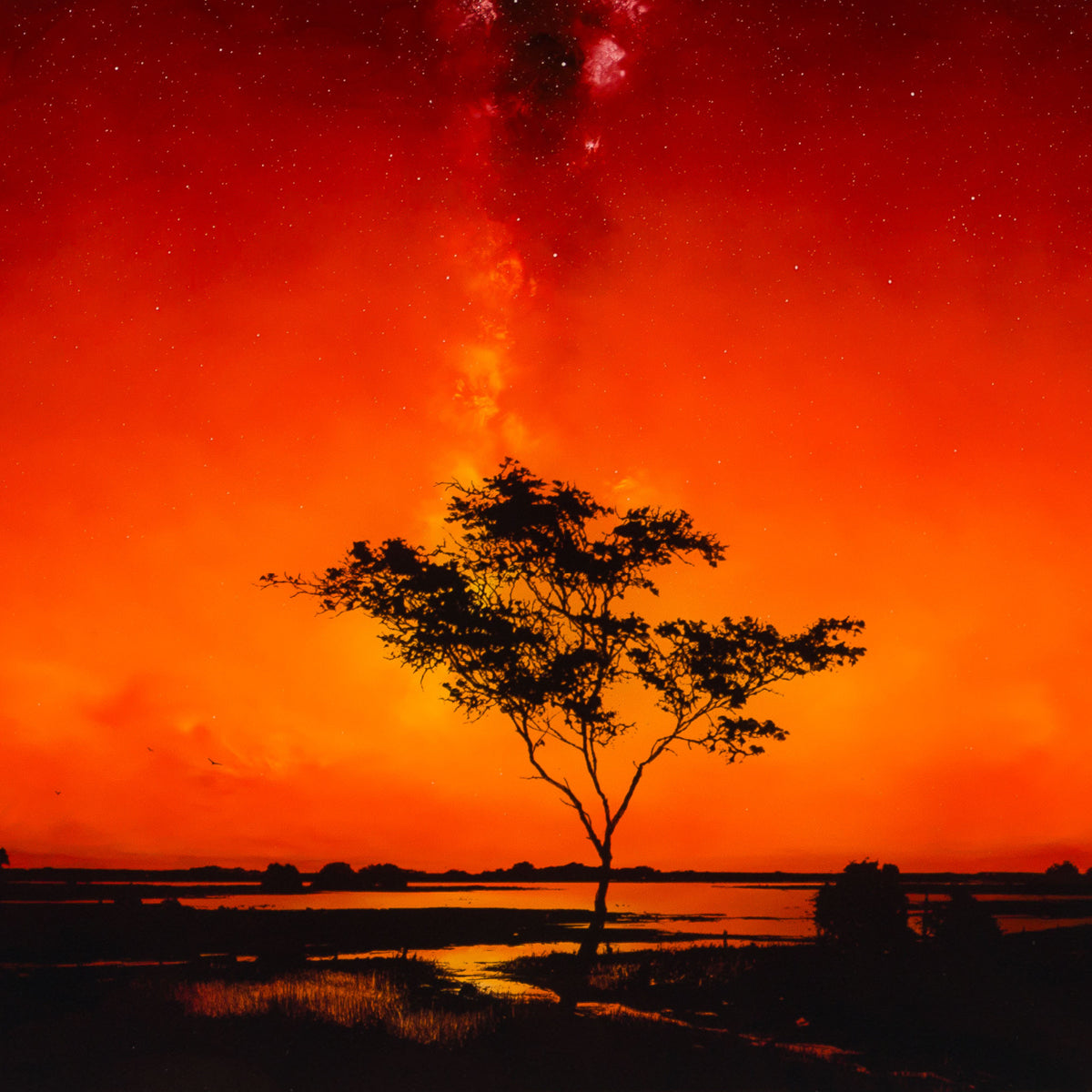 Journey Beyond | 2024