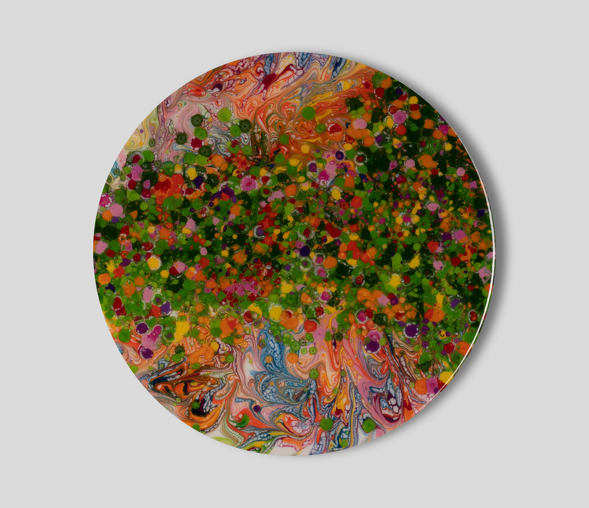 Spring Drop 1 | Alex Echo