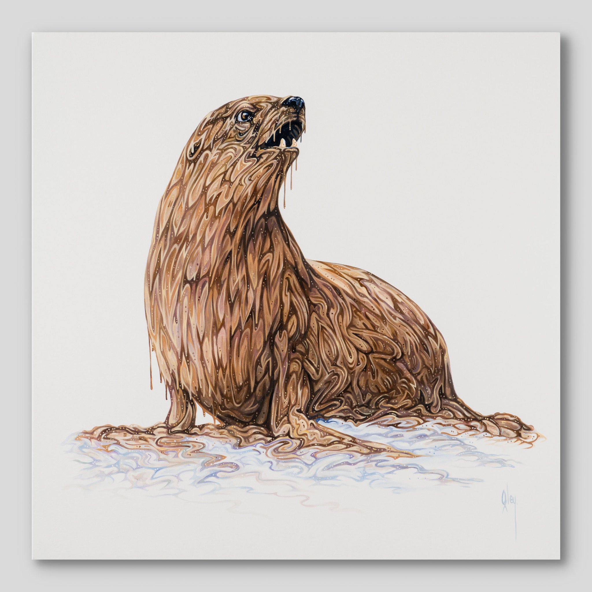 Stella | Robert Oxley