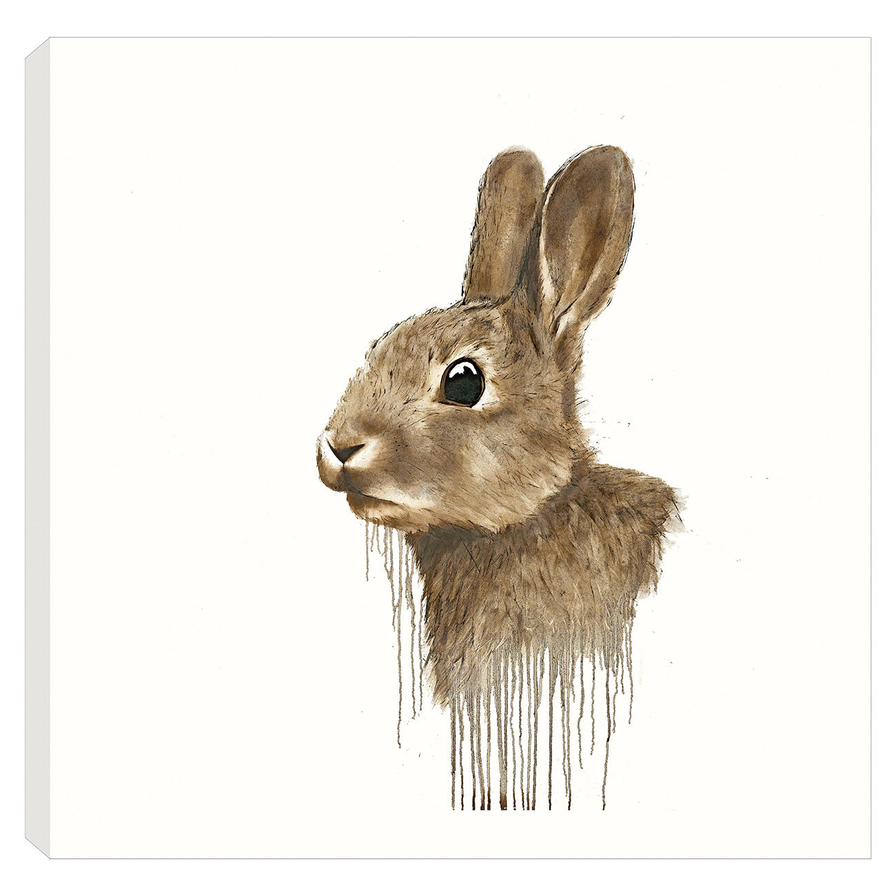 Cotton Tail | David Rees