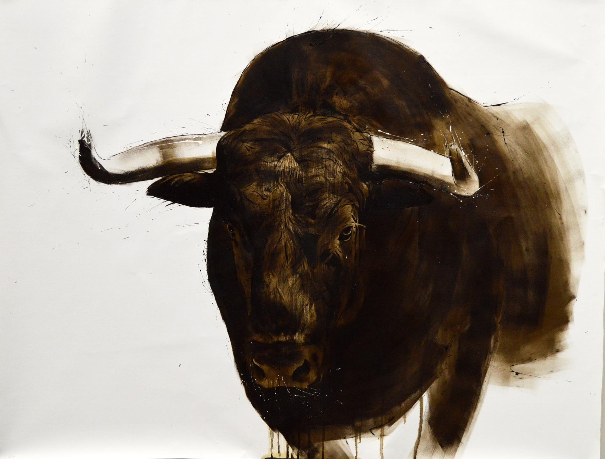 Raging Bull | David Rees