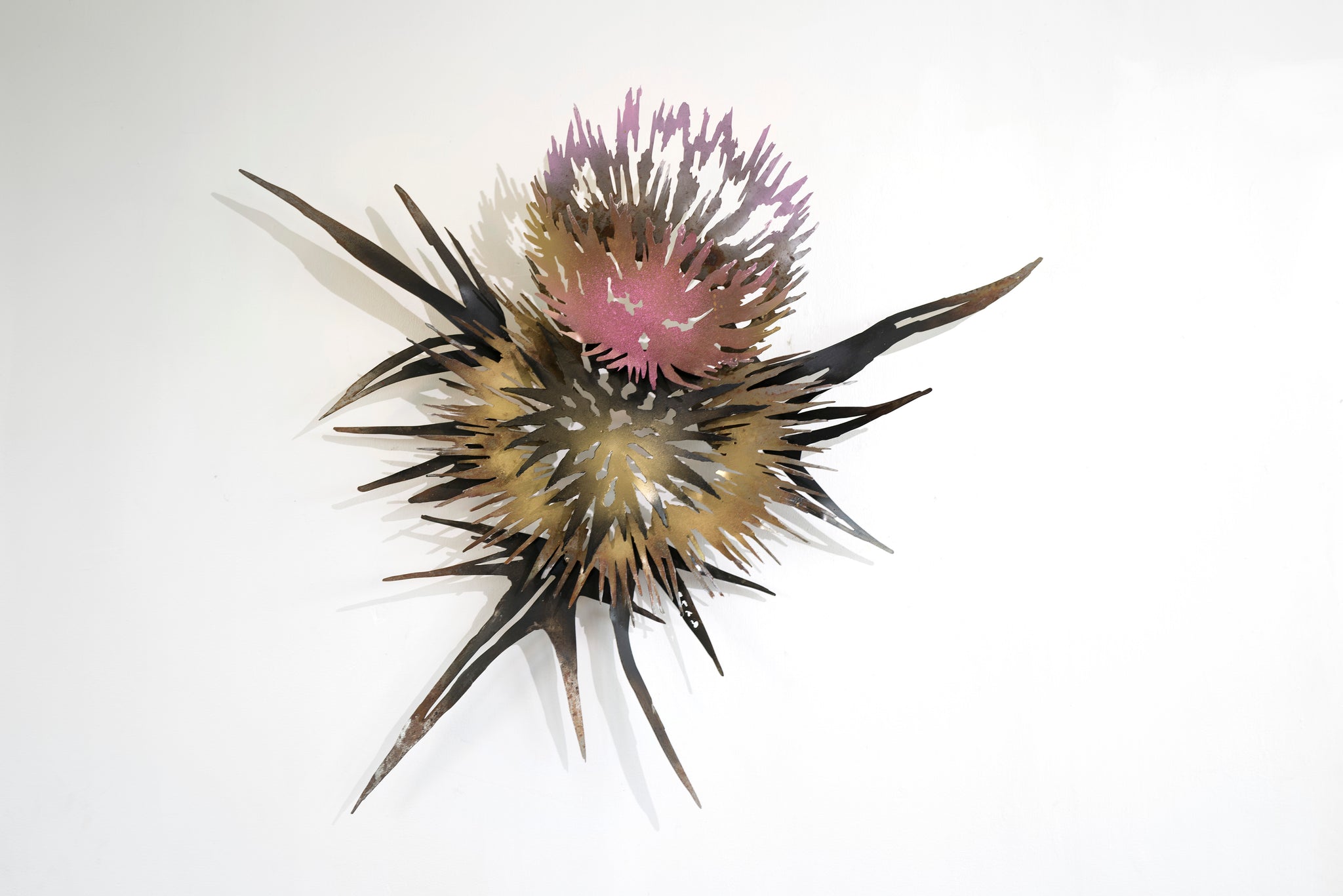 Chardon Grand – Thistle | Frédéric Daty