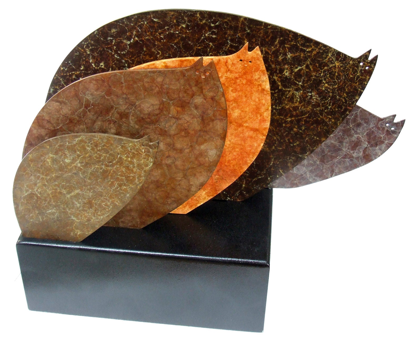 Cat Club | Govinder Nazran