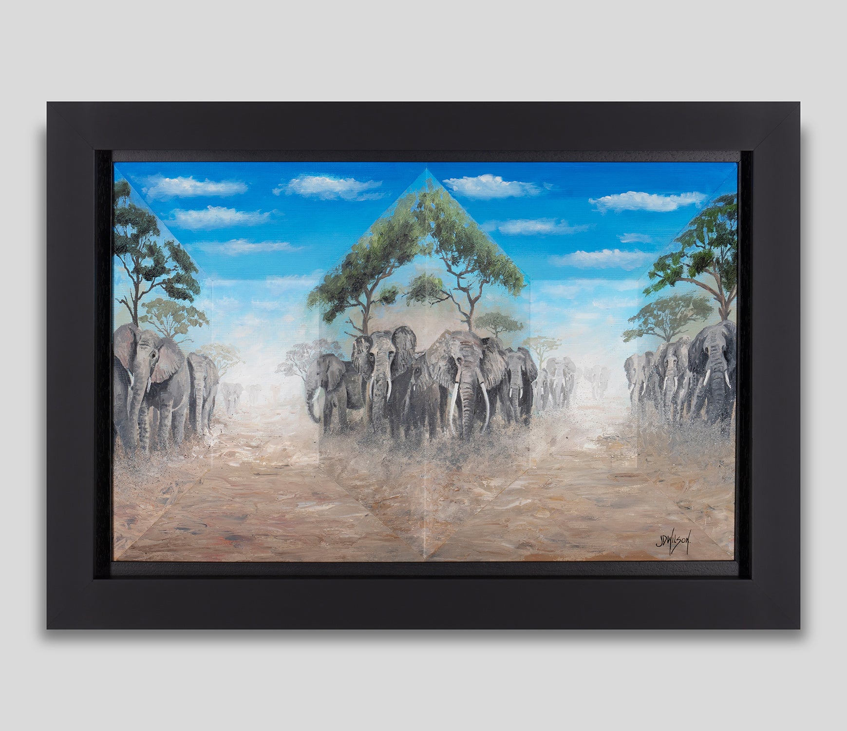 Under African Skies (3D) | John D Wilson