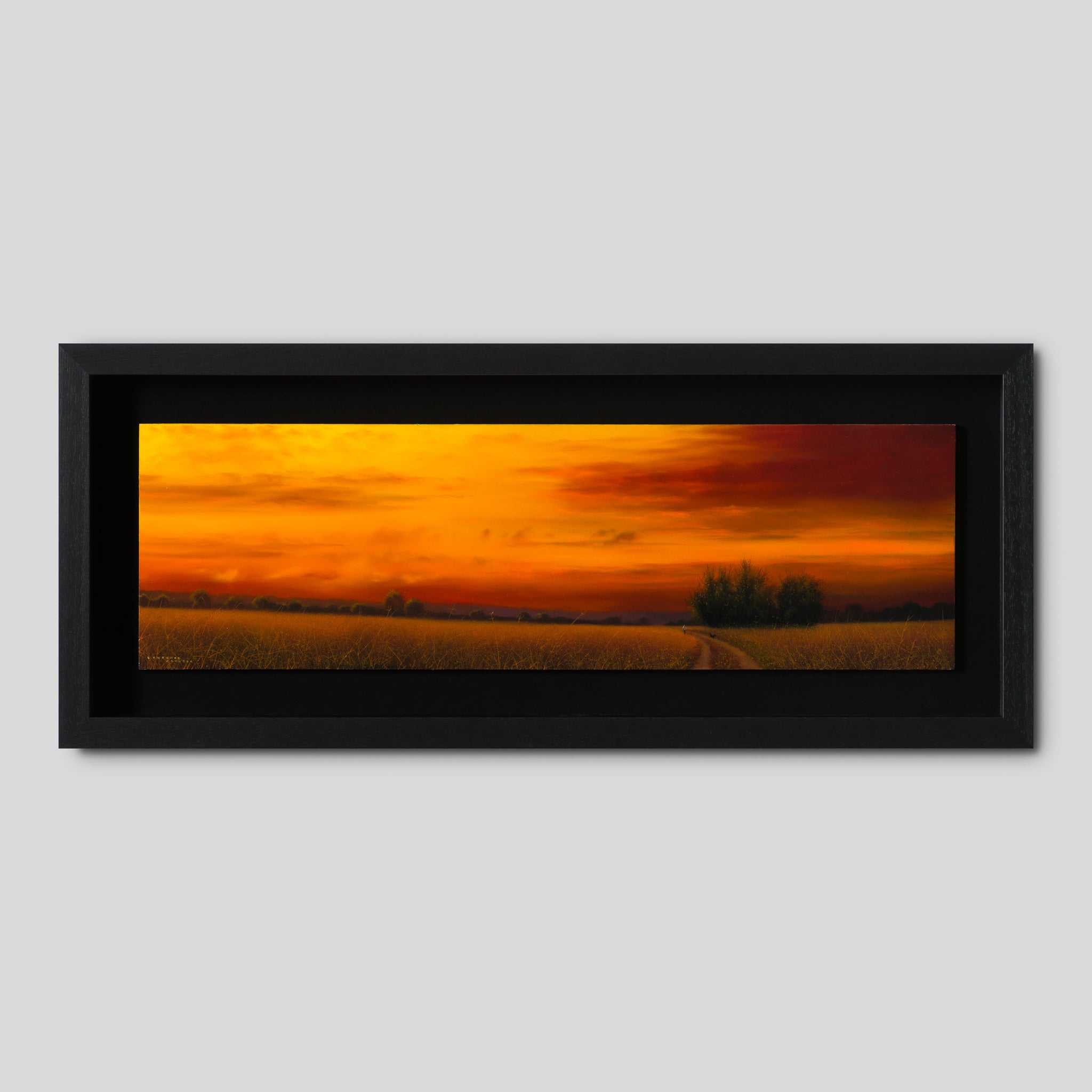 Autumn Wonder | Lawrence Coulson