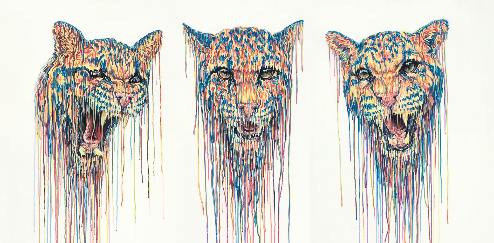 Nebula | Robert Oxley