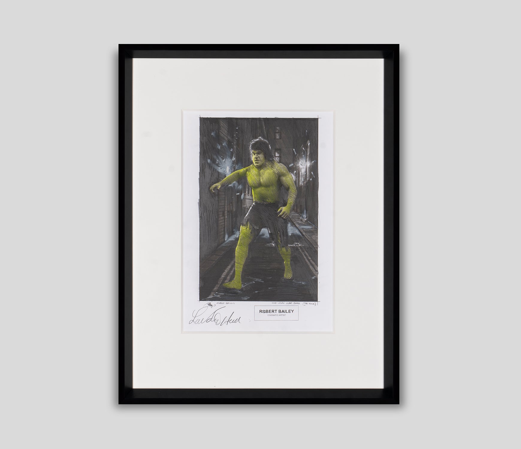 One-Man War Zone (The Hulk) | Robert Bailey