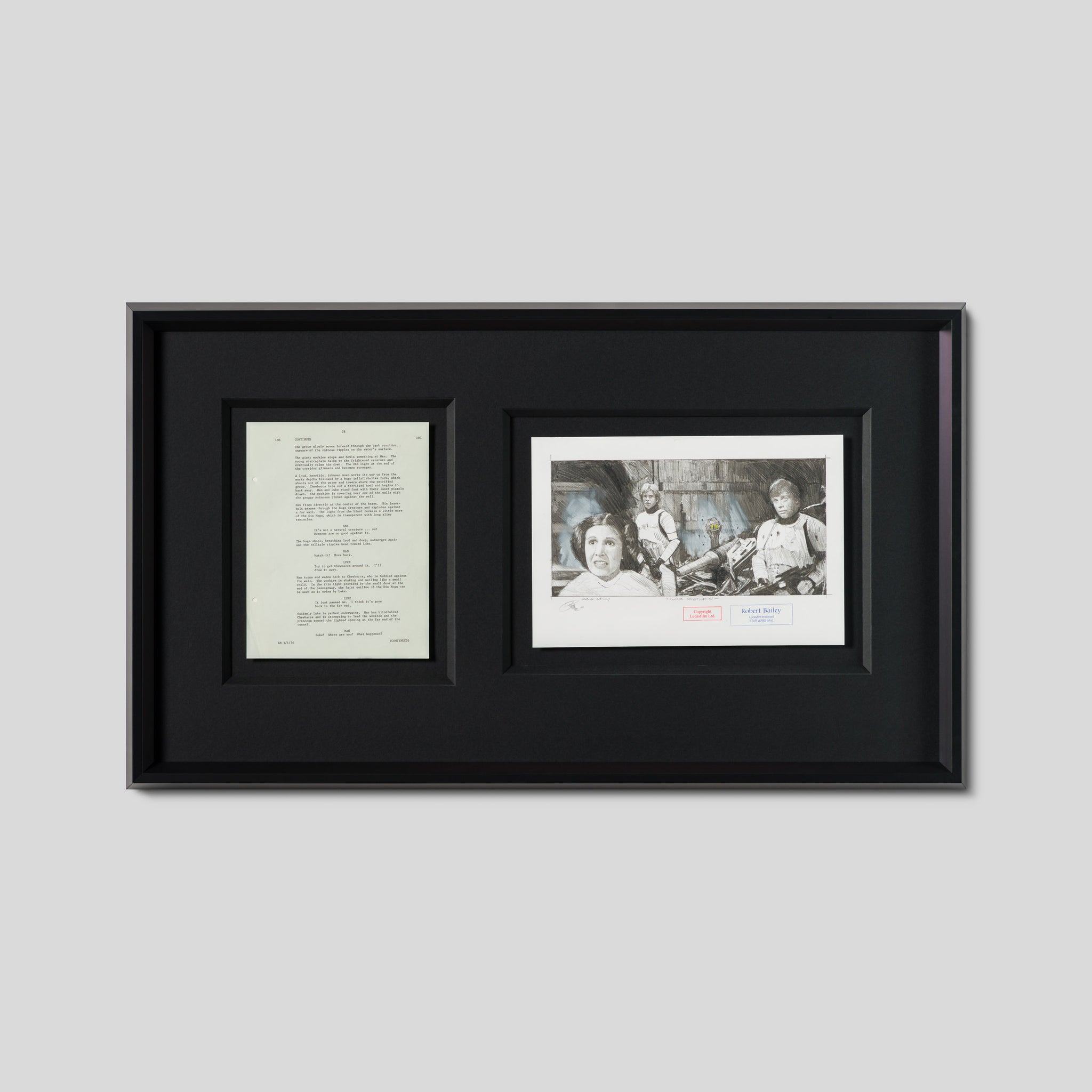 Under Observation | Robert Bailey