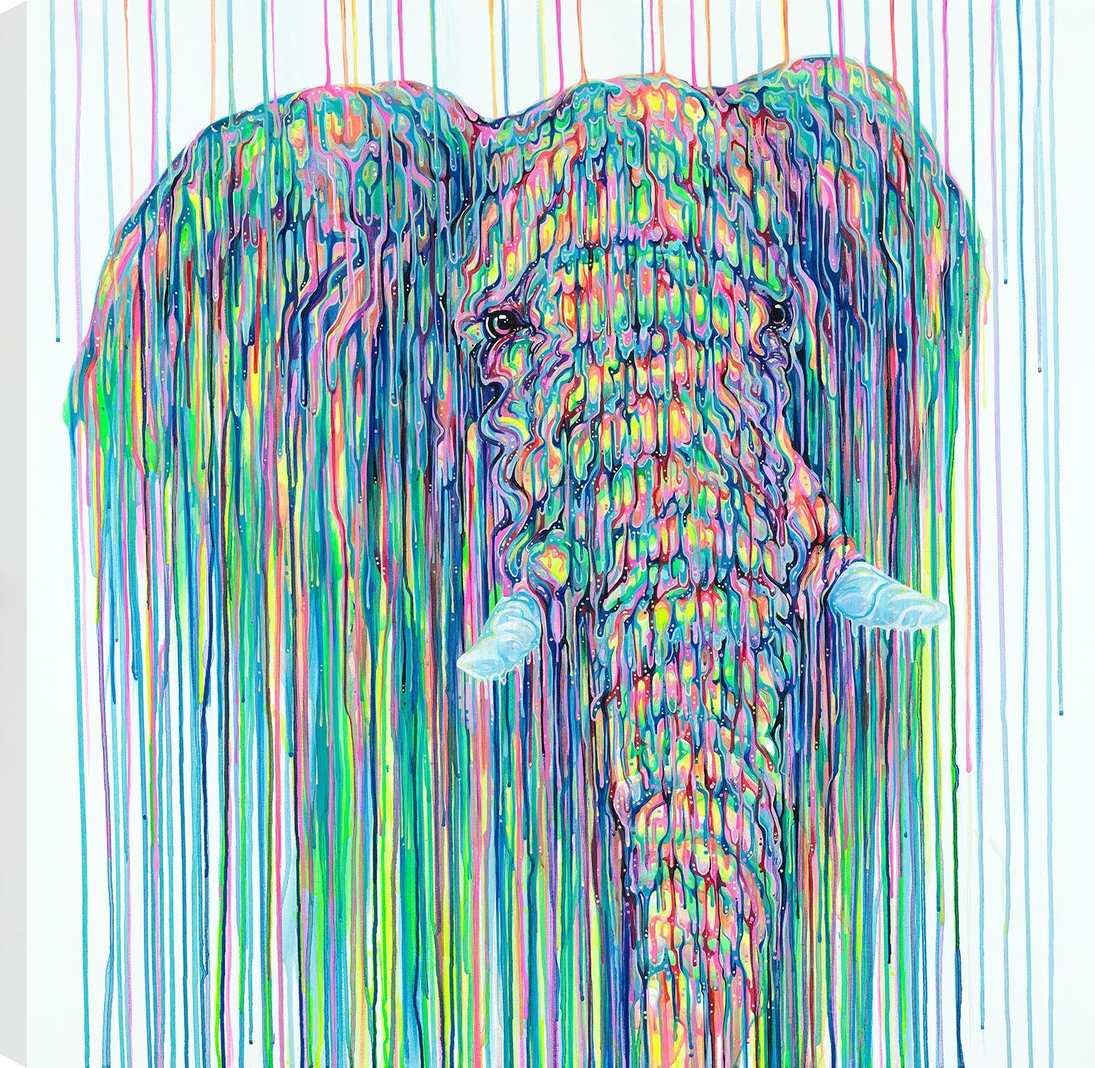 Hathi | Robert Oxley