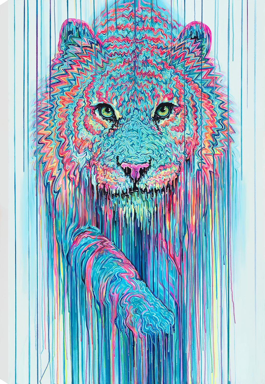 Kenji | Robert Oxley