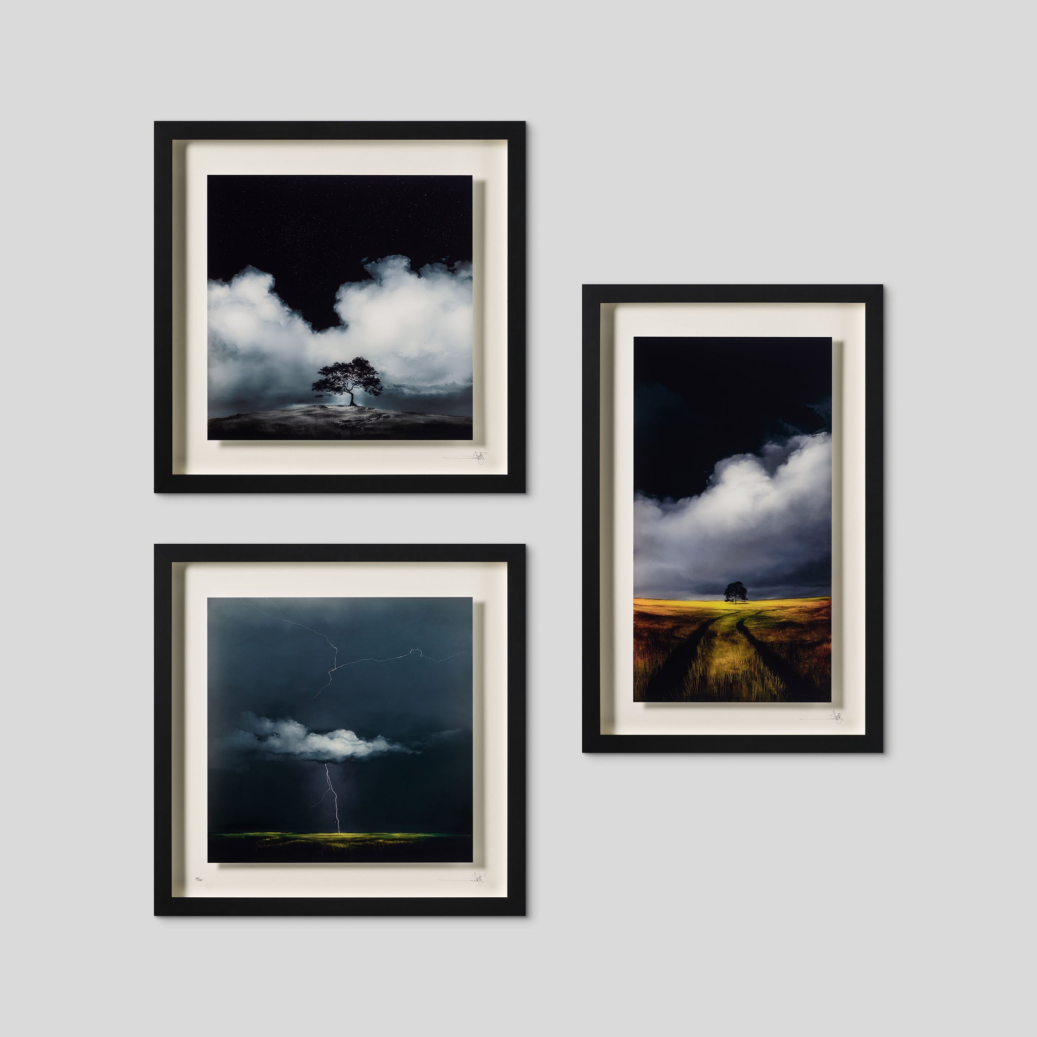 Spring 2025 | Framed Set of Three | Richard Rowan