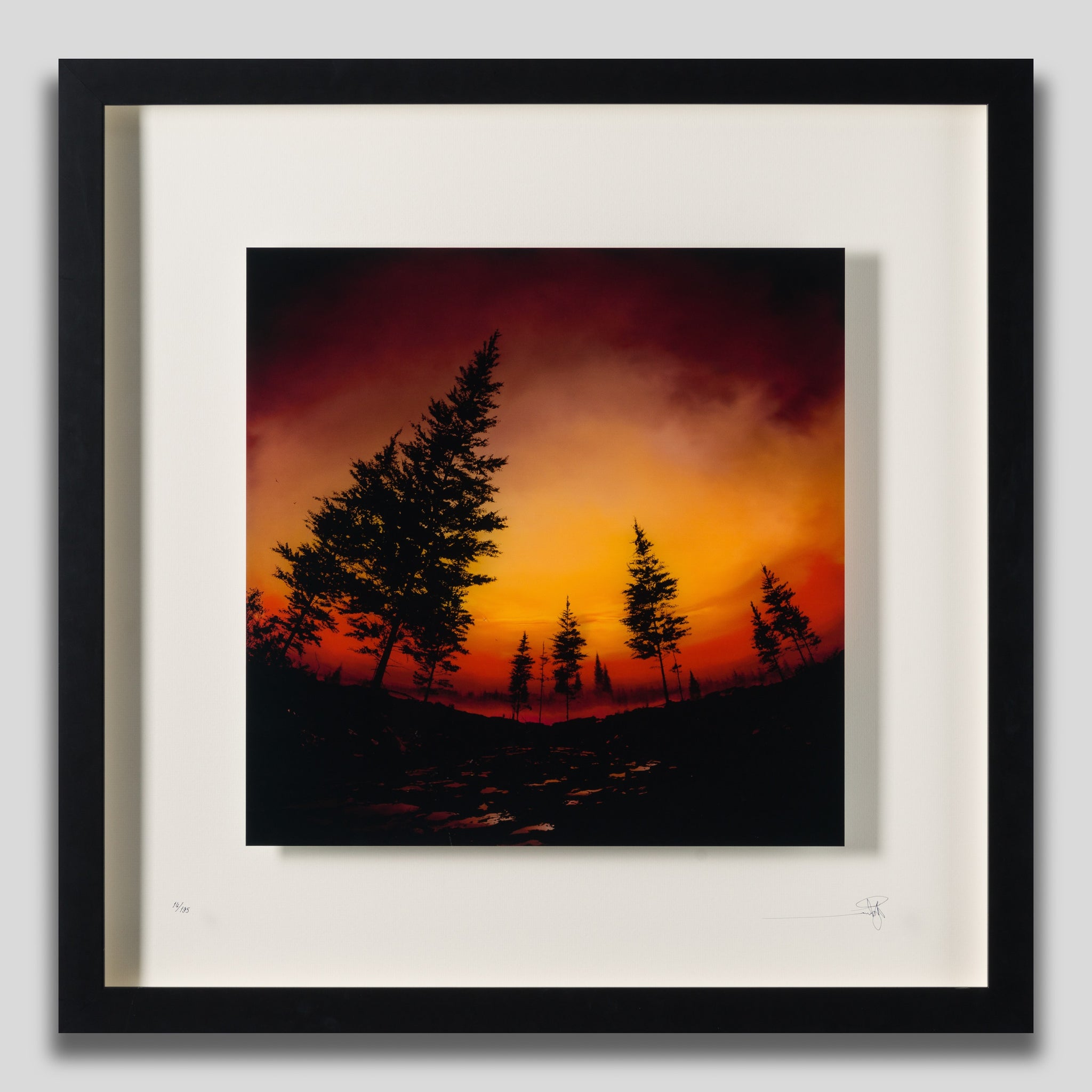 Day Turns Night | Richard Rowan